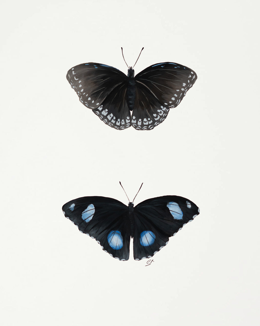 The Rain Tree Collection - Original Gouache Paintings – Shivani Patel ...